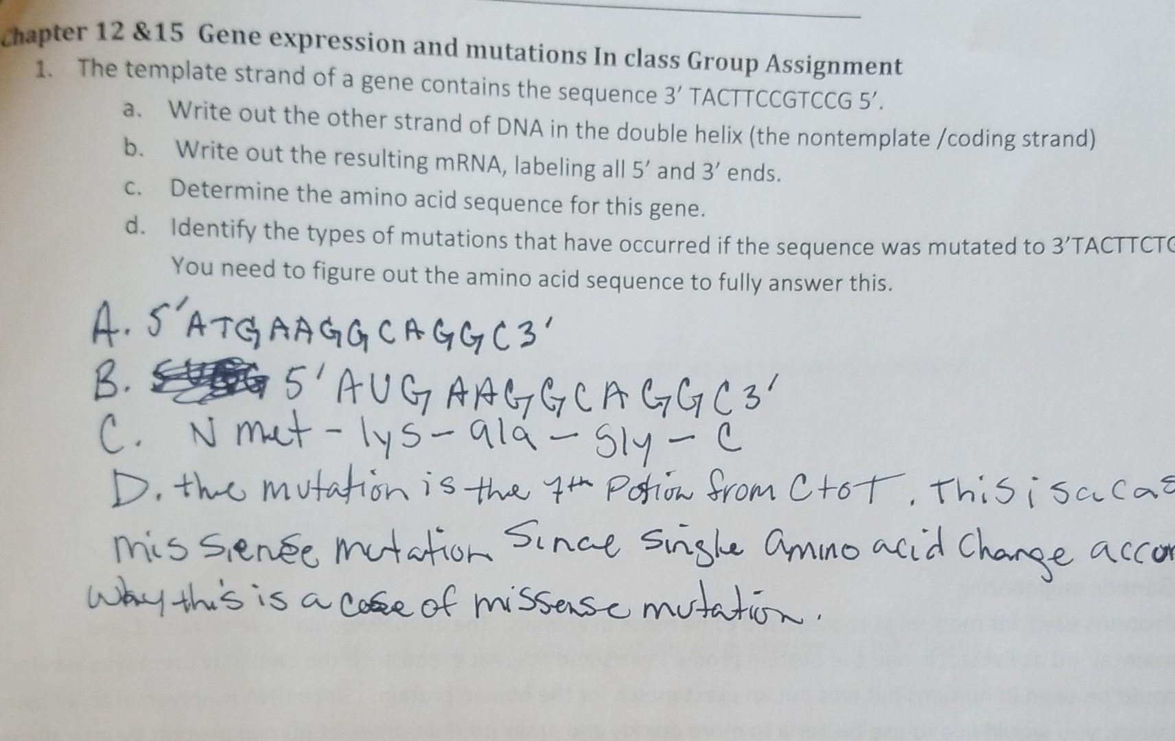 Solved lapter 12 \& 15 Gene expression and mutations In | Chegg.com