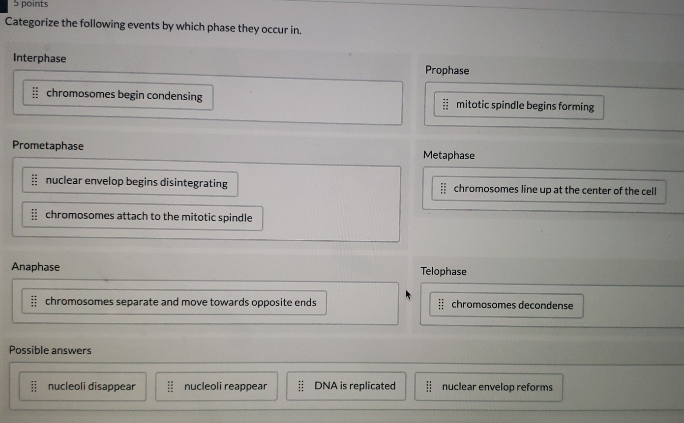 Solved Categorize the following events by which phase they | Chegg.com