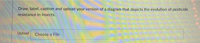 Solved Draw, label, caption and upload your version of a | Chegg.com