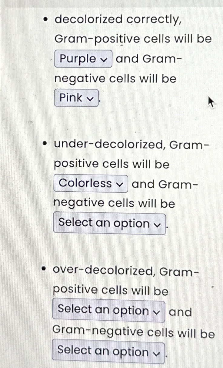 Solved decolorized correctly, Gram-positive cells will be | Chegg.com Solved decolorized correctly, Gram-positive cells will be | Chegg.com