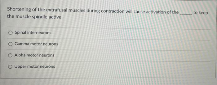 Solved Shortening of the extrafusal muscles during | Chegg.com