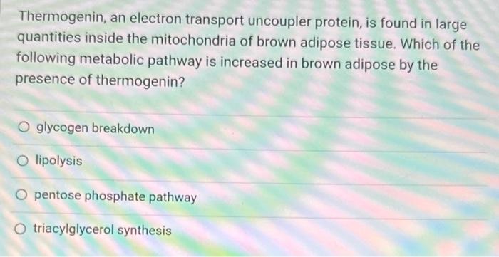 Thermogenin, an electron transport uncoupler protein, | Chegg.com