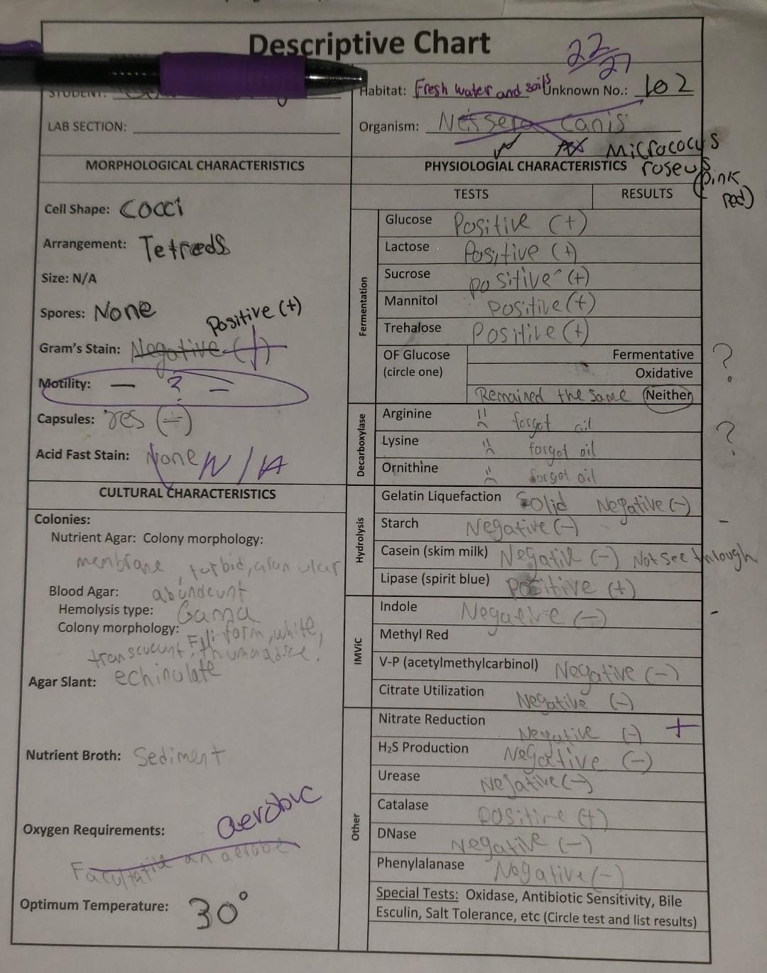 Solved Hello! I need help filling in the rest and or | Chegg.com