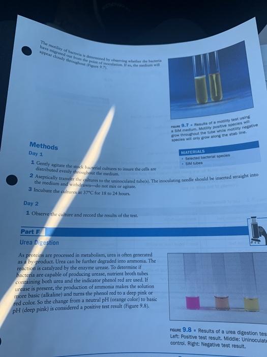 Solved Bacterial Biochemical Tests tube, called a Durham | Chegg.com
