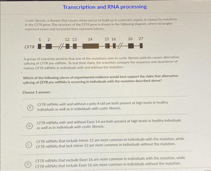 Solved im not able to understand how to read gene shown. can | Chegg.com