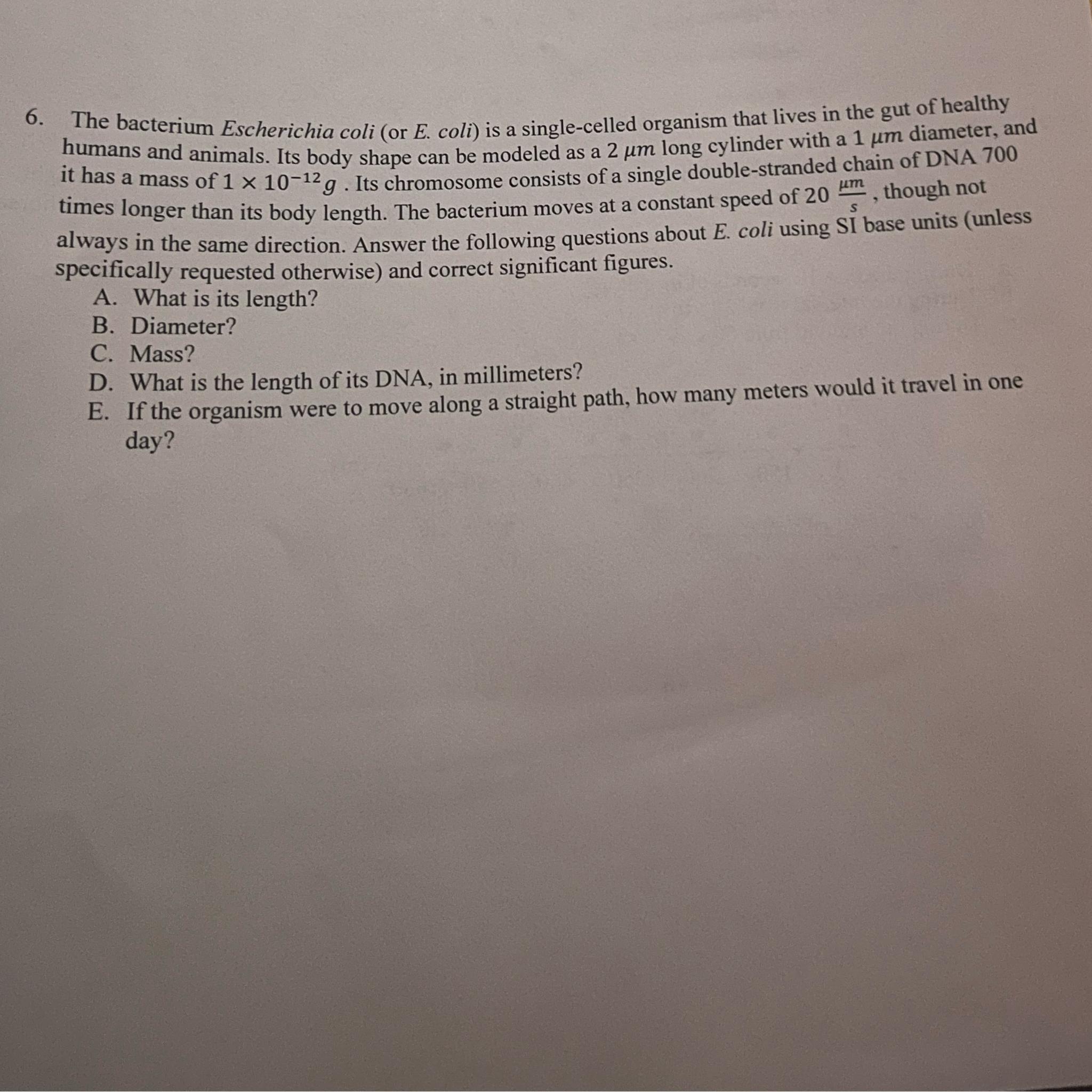 Solved The bacterium Escherichia coli ( ﻿or E. ﻿coli) ﻿is a | Chegg.com
