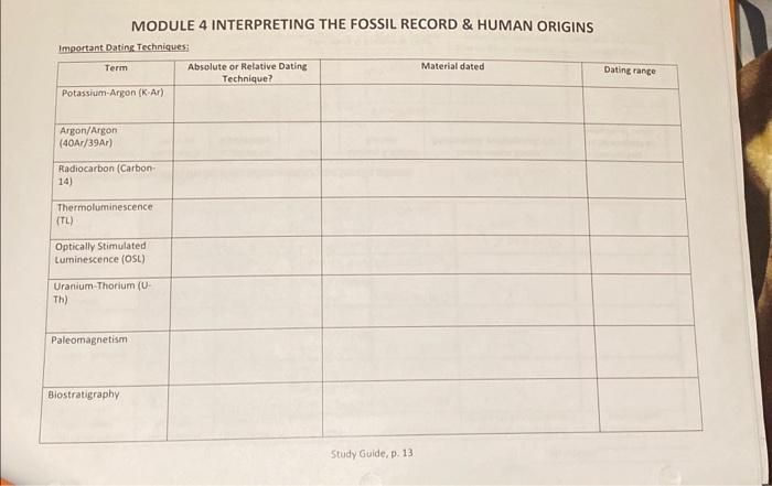 MODULE 4 INTERPRETING THE FOSSIL RECORD \& HUMAN | Chegg.com