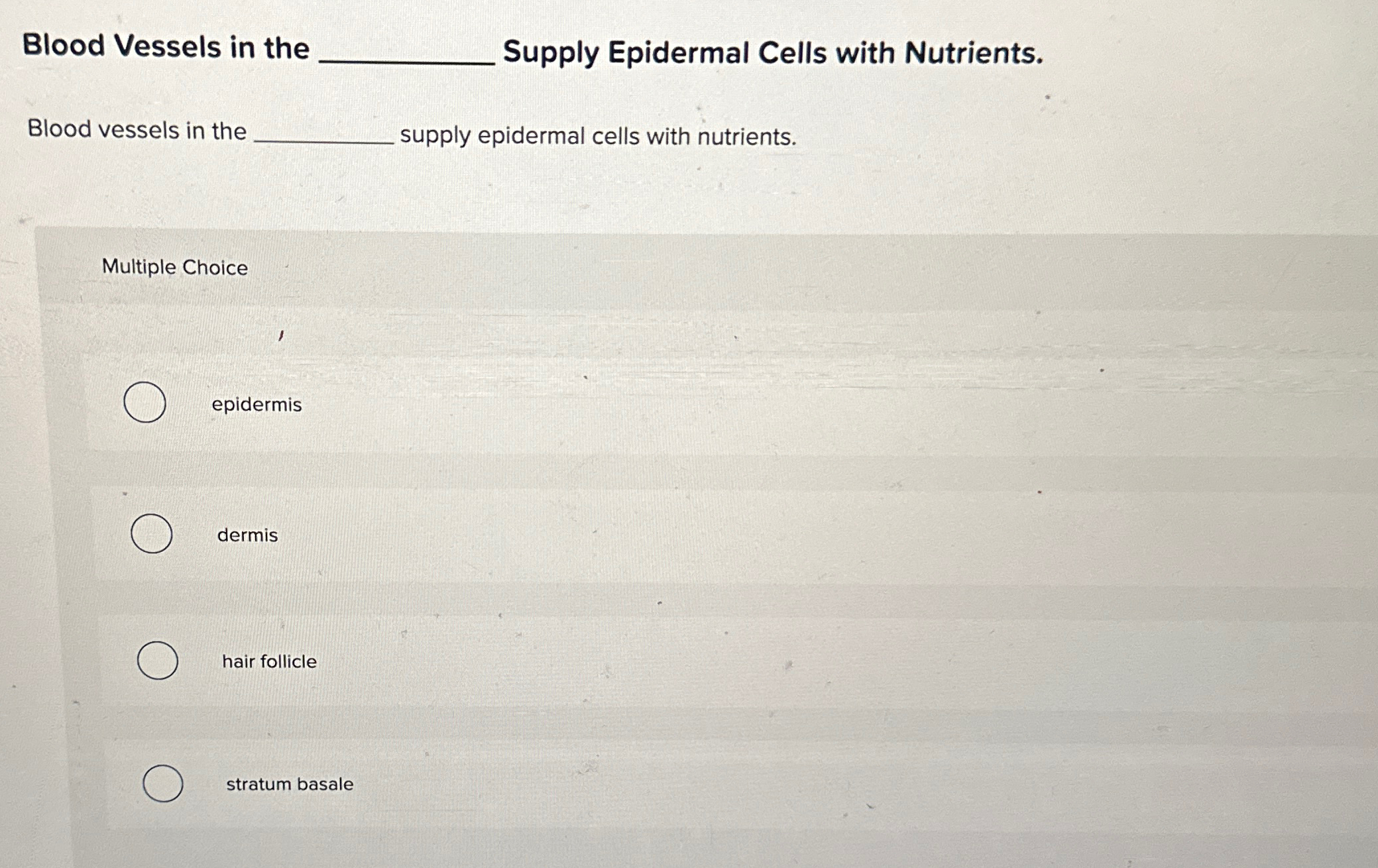 Solved Blood Vessels in theSupply Epidermal Cells with | Chegg.com