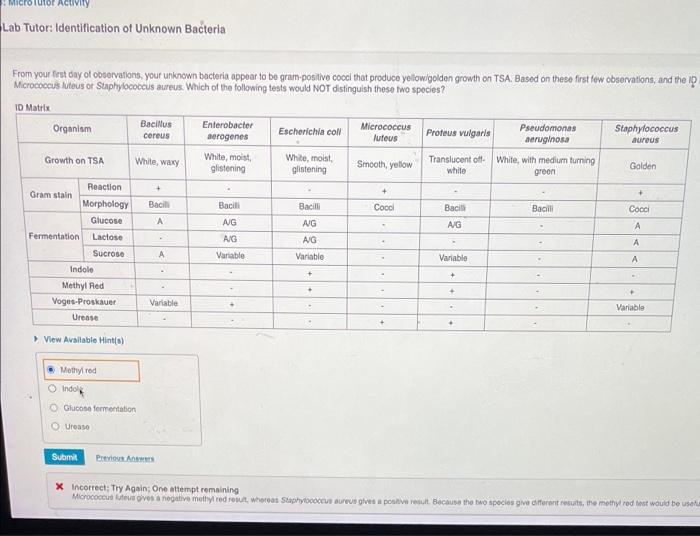 Solved of Activity Lab Tutor: Identification of Unknown | Chegg.com