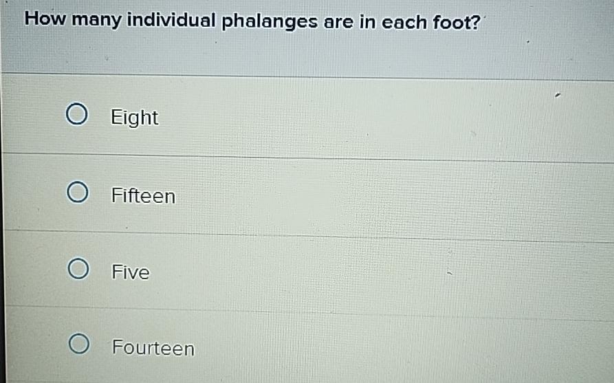 Solved How many individual phalanges are in each | Chegg.com