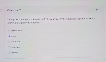 Solved Question 21 ﻿ptsDuring maturation of a eukaryotic | Chegg.com
