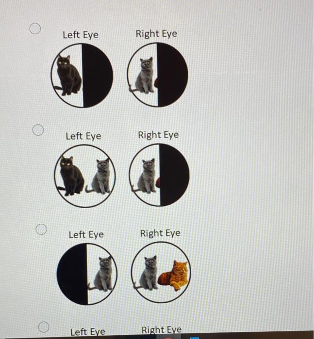 Solved Clinical Assessment of Visual Fields For each of the | Chegg.com
