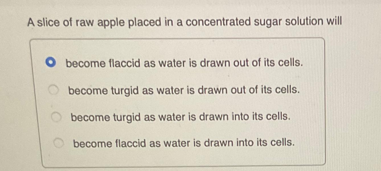 Solved A slice of raw apple placed in a concentrated sugar | Chegg.com