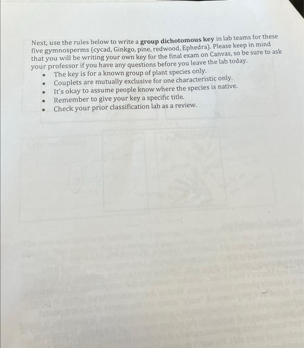 Solved Next, use the rules below to write a group | Chegg.com