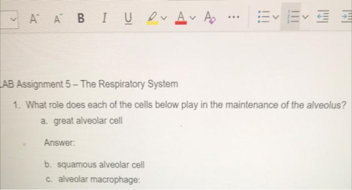 Solved > AABIU O Av A Answer: *** AB Assignment 5- The | Chegg.com
