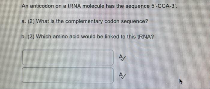 Solved An anticodon on a tRNA molecule has the sequence | Chegg.com