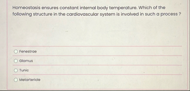 Solved Homeostasis ensures constant internal body | Chegg.com
