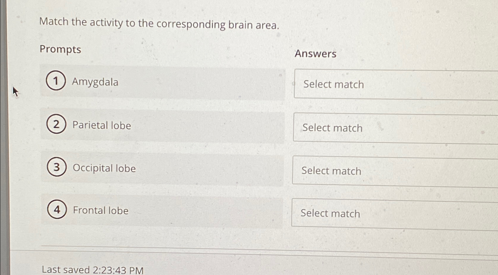 Solved Match the activity to the corresponding brain | Chegg.com