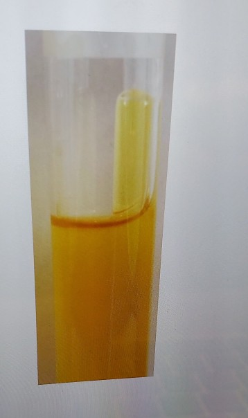 Solved this is a mannitol test with a Durham tube. I'm | Chegg.com