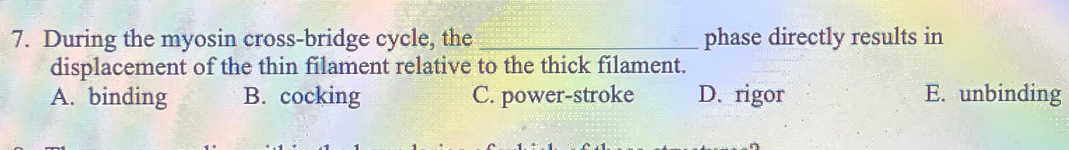 Solved During the myosin cross-bridge cycle, the phase | Chegg.com