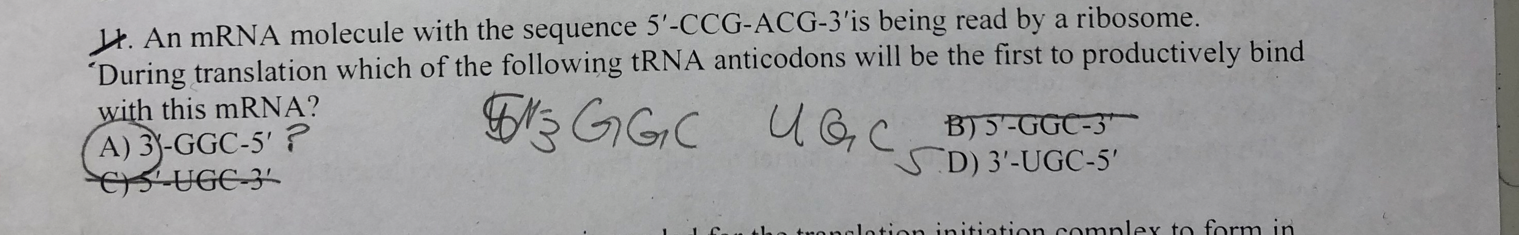 Solved An mRNA molecule with the sequence 5 '-CCG-ACG-3'is | Chegg.com