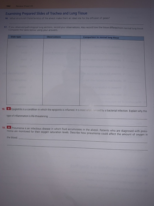 Solved Instructors may assign a portion of the Review Sheet | Chegg.com