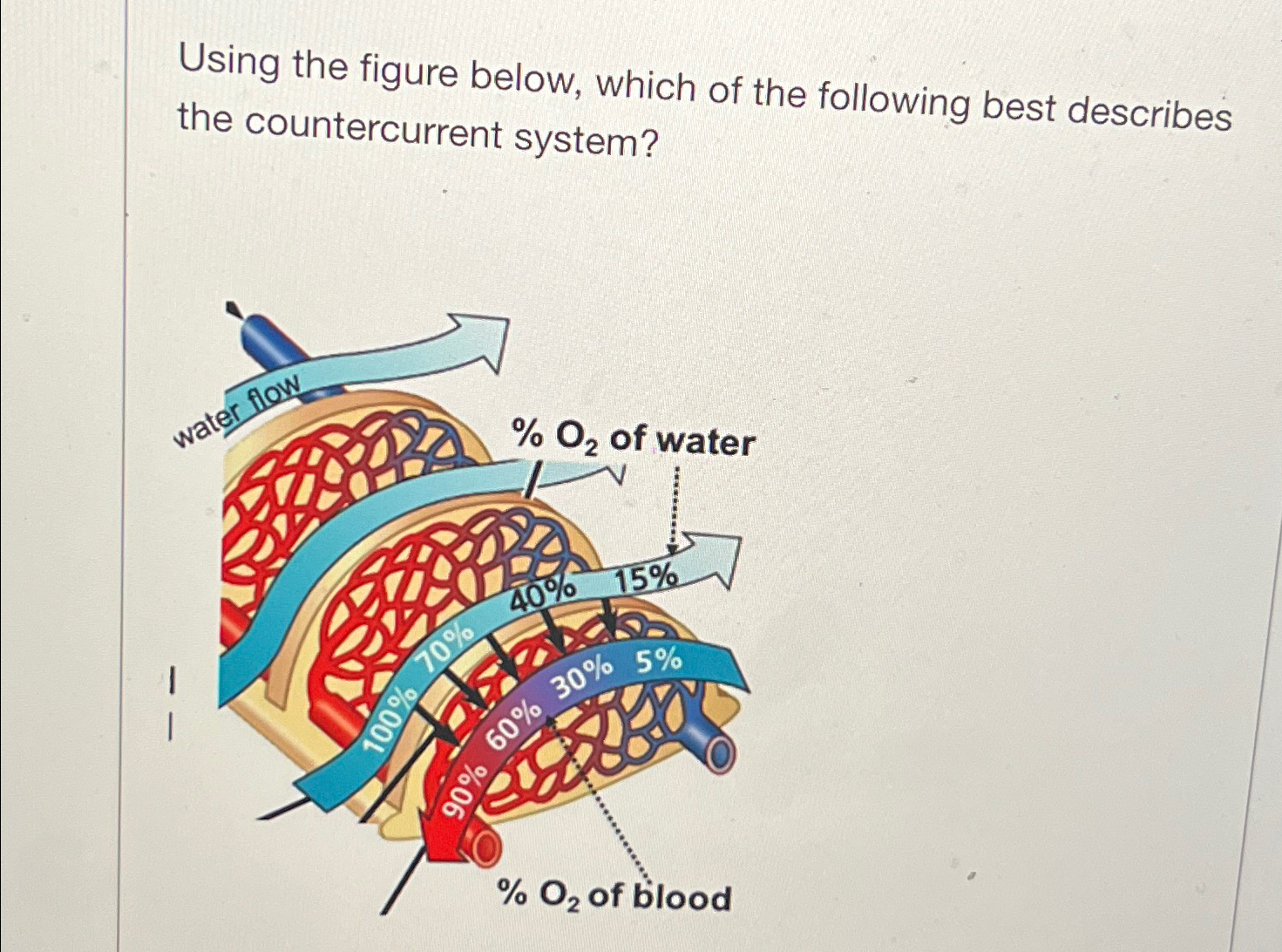 Solved Using the figure below, which of the following best | Chegg.com