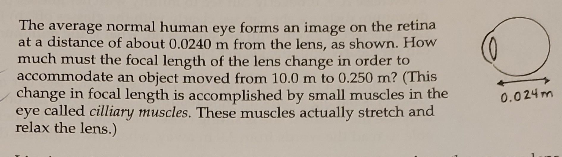 Solved The average normal human eye forms an image on the | Chegg.com