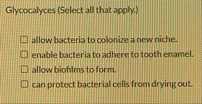 Solved Glycocalyces (Select all that apply.)allow bacteria | Chegg.com