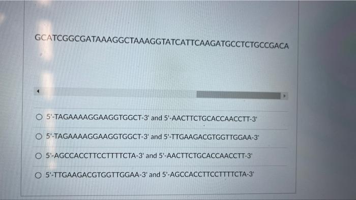 Solved Here the 203bp CaMV 35 S promoter sequence that you | Chegg.com