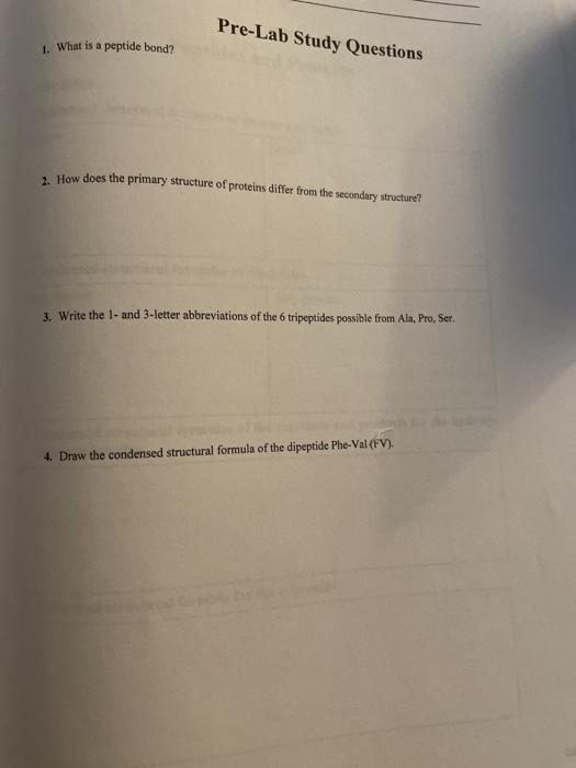 Solved Pre-Lab Study Questions 1. What is a peptide bond? 2. | Chegg.com