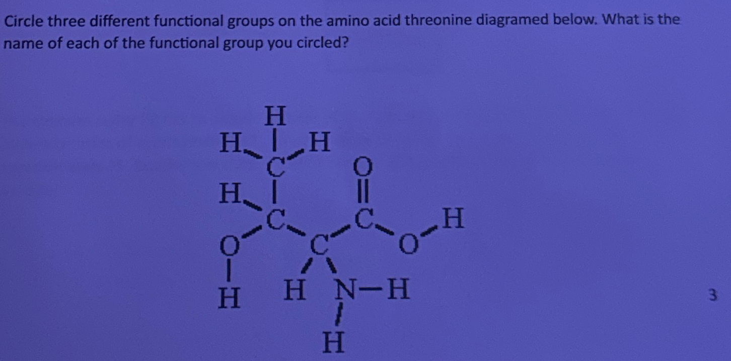 Solved Circle three different functional groups on the amino | Chegg.com