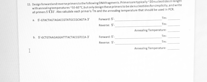 Solved 15. Design forward and reverse primers to the | Chegg.com