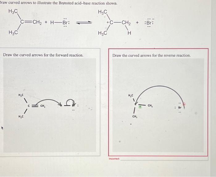 Solved Draw curved arrows to illustrate the Brønsted | Chegg.com