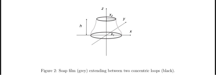 Solved 4. The calculus of variations is a useful | Chegg.com