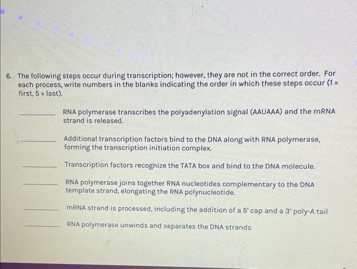 Solved 6. The following steps occur during transcription; | Chegg.com
