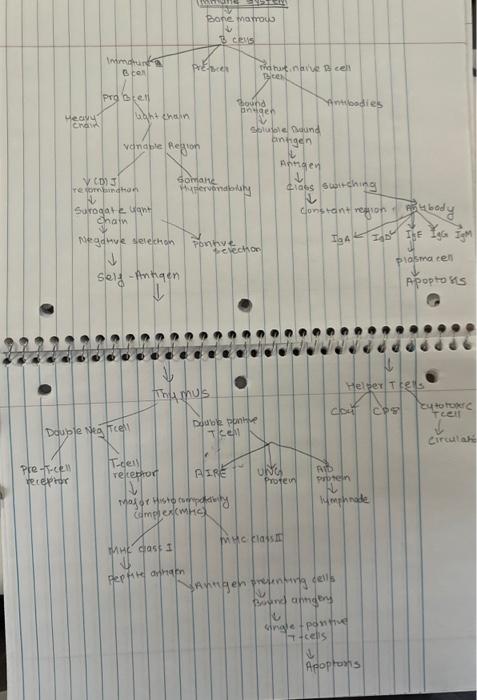 first picture is example concept map linking them | Chegg.com