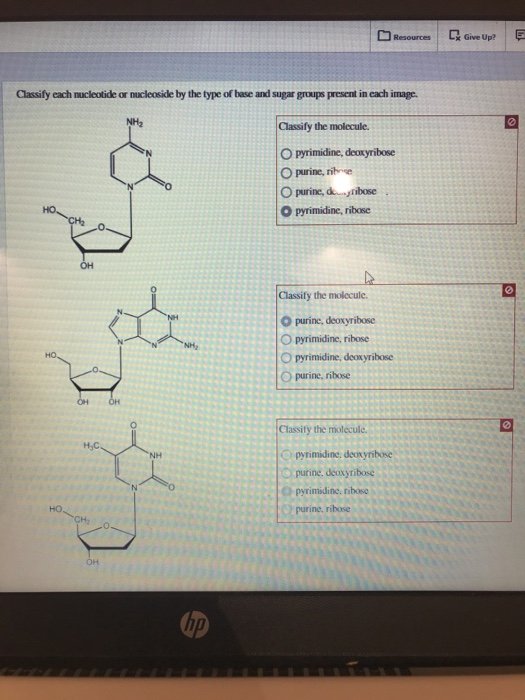 Solved Resources Give Up? Classify each nucleotide or | Chegg.com