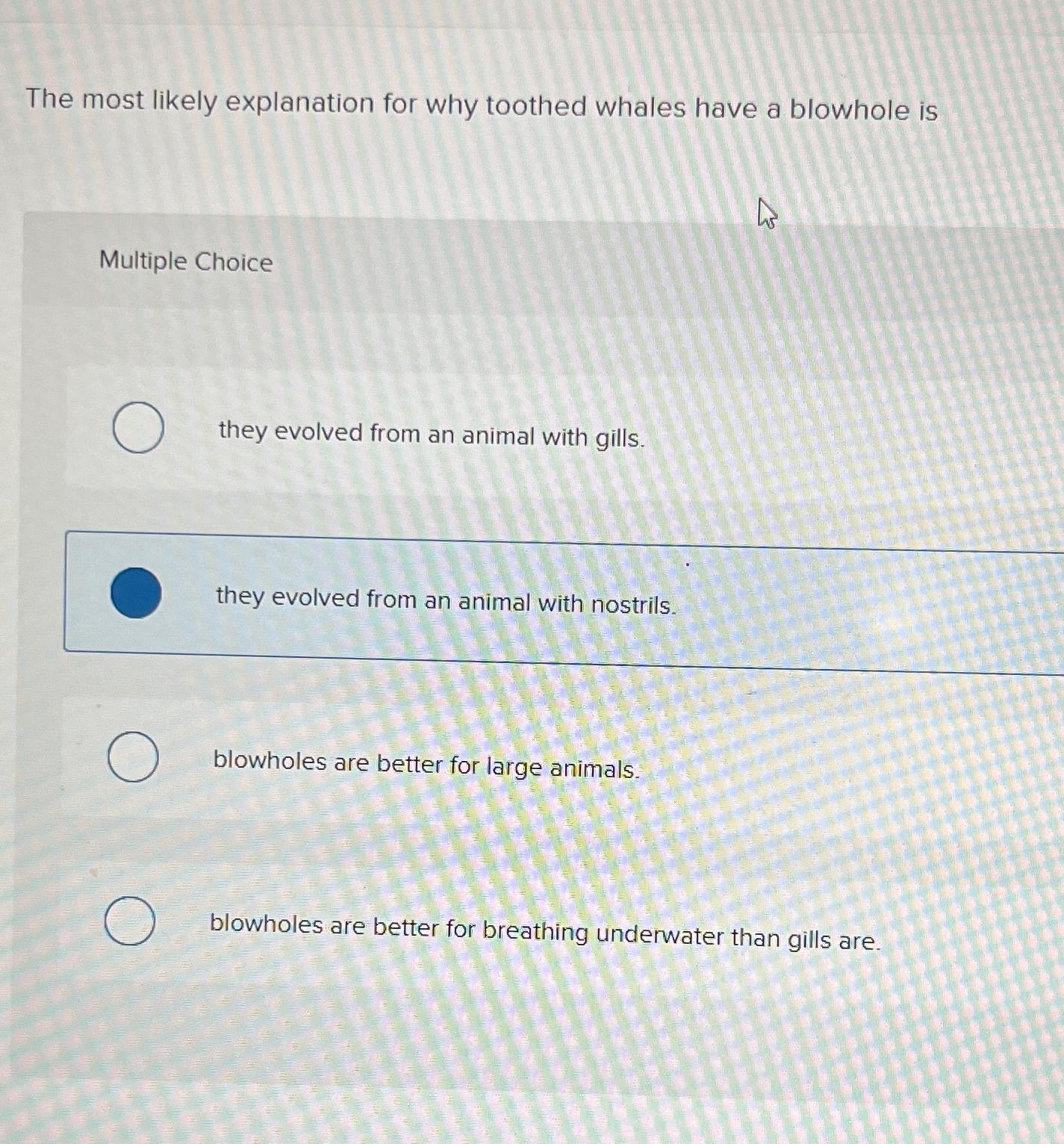 Solved The most likely explanation for why toothed whales | Chegg.com
