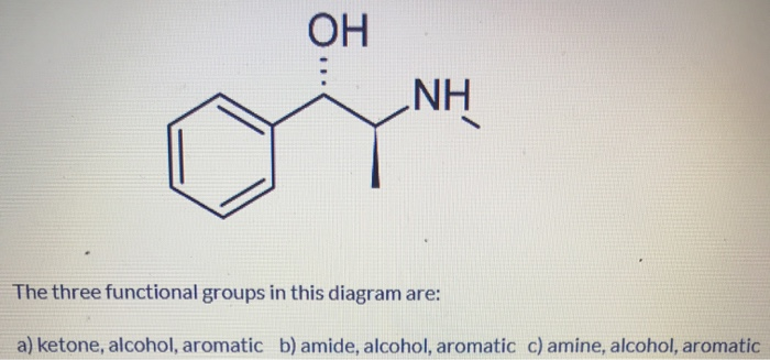Solved -CH₃ H3CN CH3 What type of amine is shown in this | Chegg.com