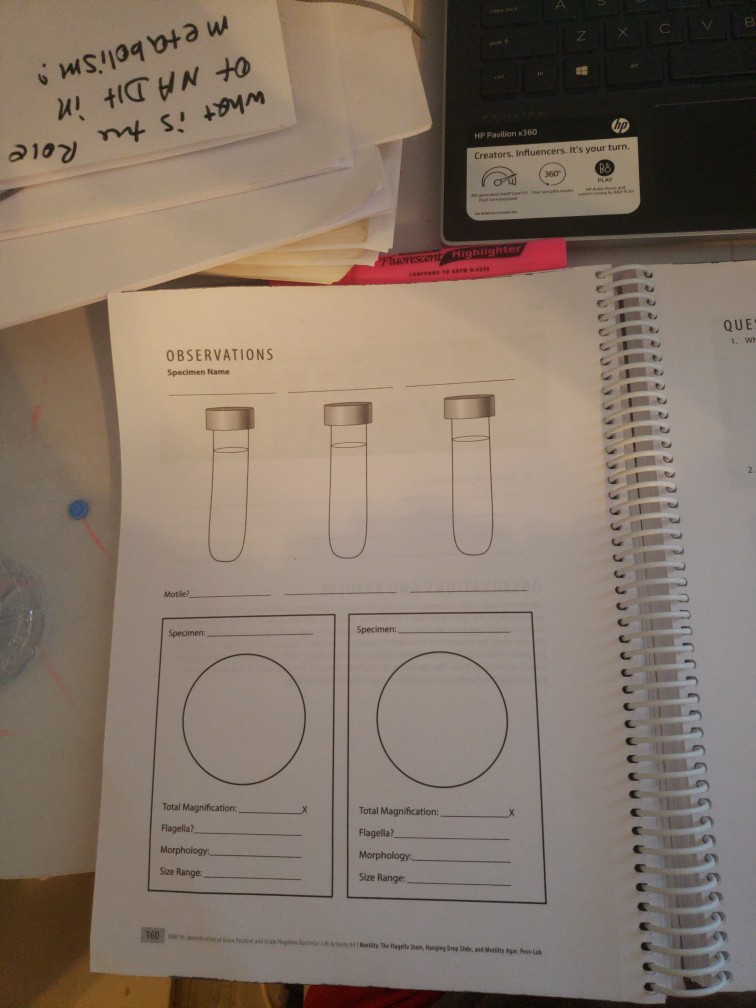Solved DATE: SECTION/GROUP NAME: INSTRUCTOR: PART VI: | Chegg.com