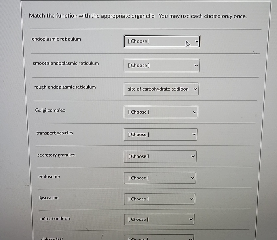 Solved Match the function with the appropriate organelle. | Chegg.com