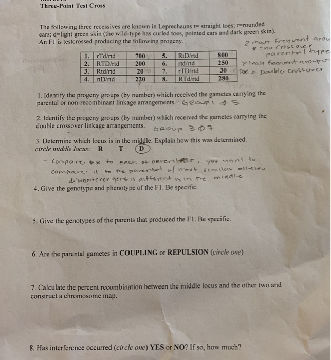 Solved Three-Point Test Cross The following three recessives | Chegg.com