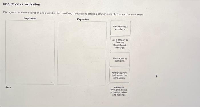 Solved Inspiration vs. expiration Distinguish between | Chegg.com