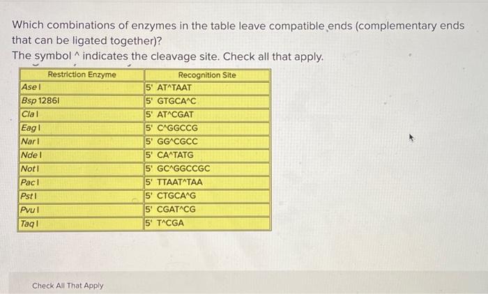 Which combinations of enzymes in the table leave | Chegg.com