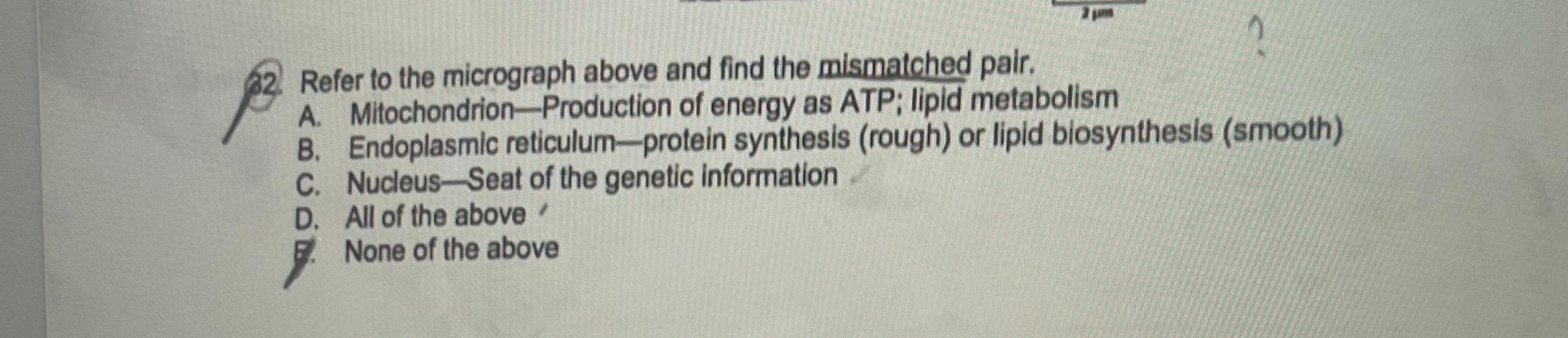Solved Refer to the micrograph above and find the mismatched | Chegg.com