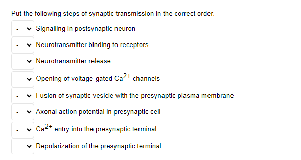 Solved Put the following steps of synaptic transmission in | Chegg.com