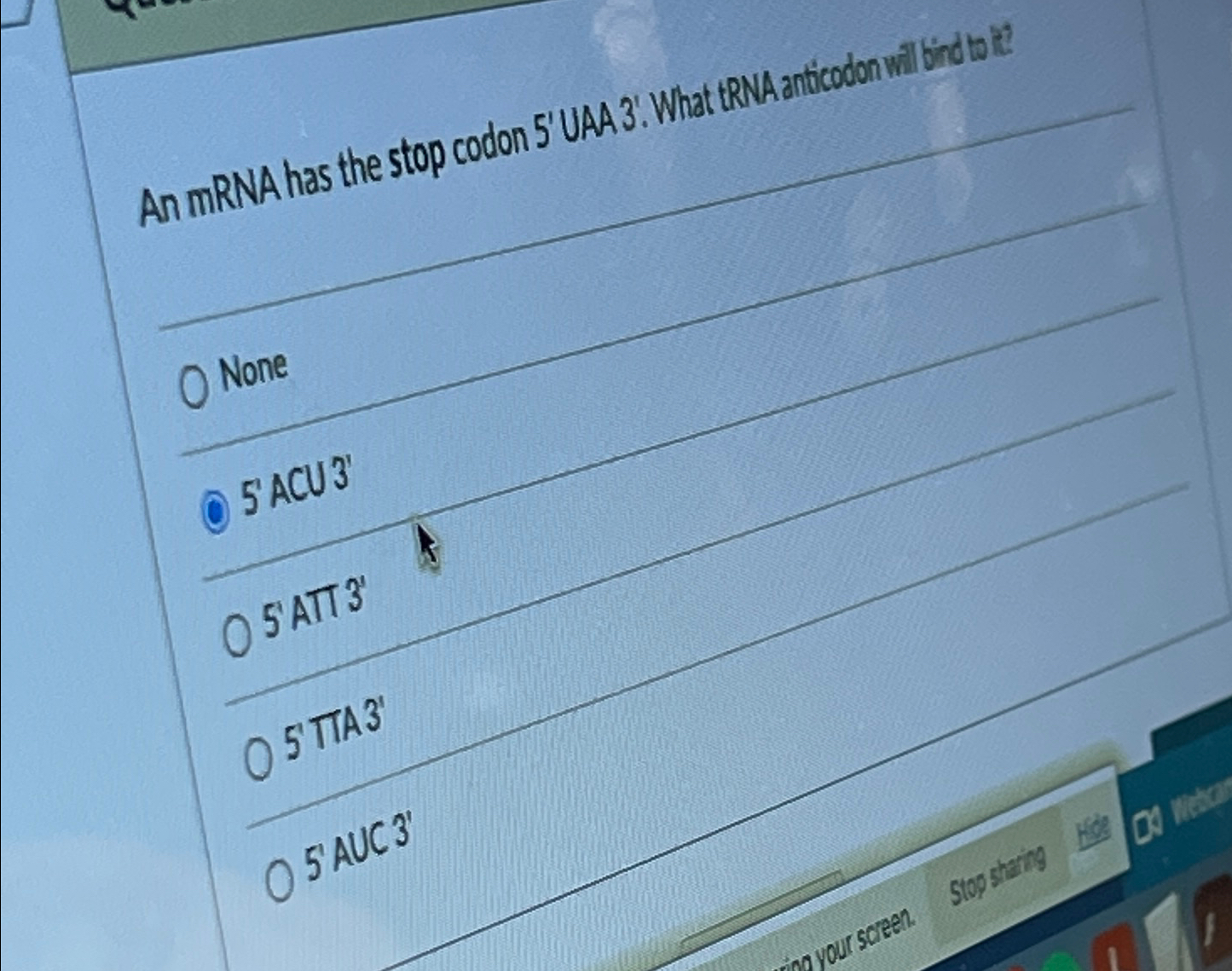 Solved An mRNA has the stop codon 5' ﻿UAA 3.' ﻿What RNA | Chegg.com