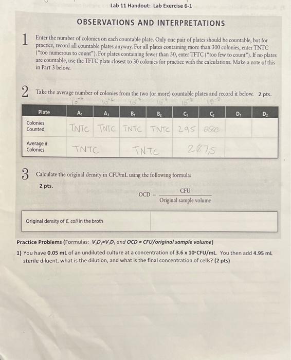 Solved OBSERVATIONS AND INTERPRETATIONS 1 Enter the number | Chegg.com