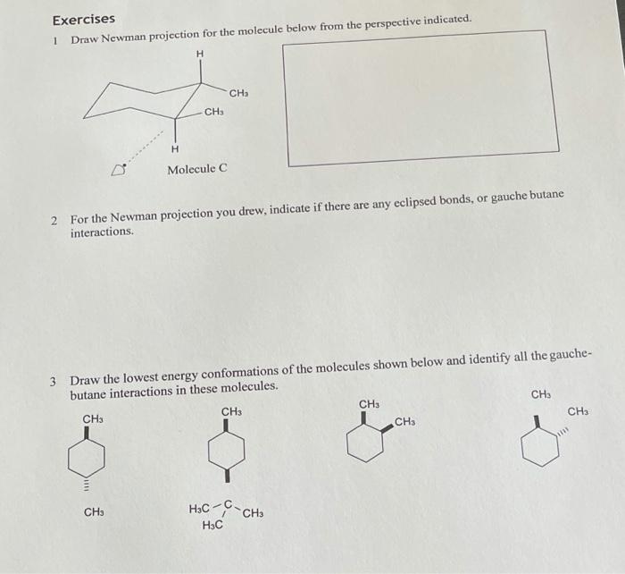 Solved Exercises Draw Newman projection for the molecule | Chegg.com